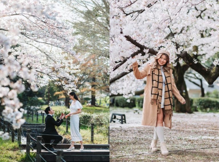 Where To Propose In Tokyo? The 14 Best Proposal Spots In 2024