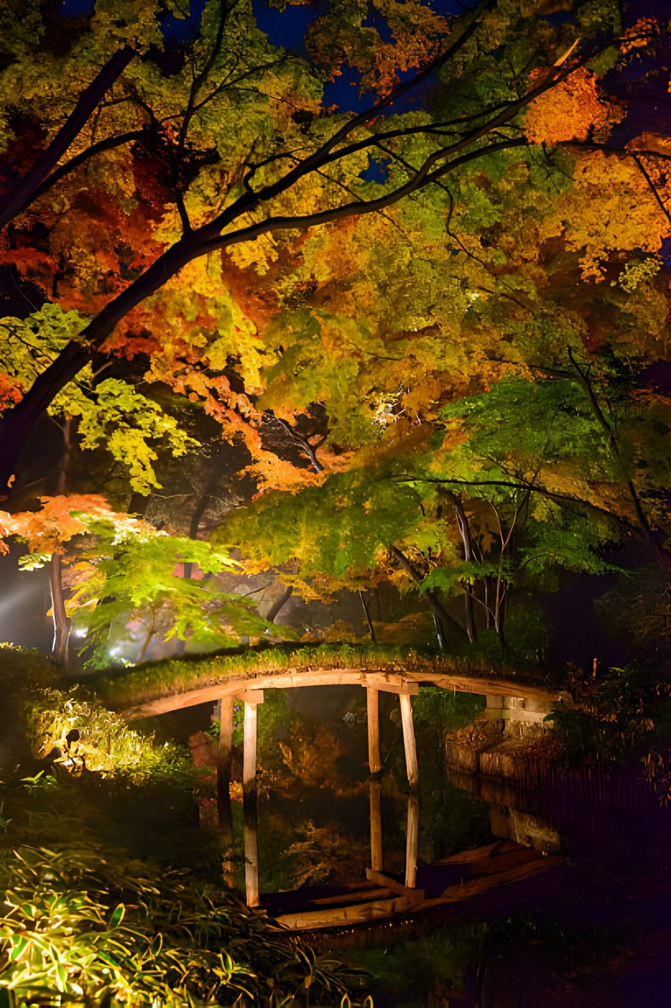 Where To Propose In Japan - 15 Romantic Spots You Should Know