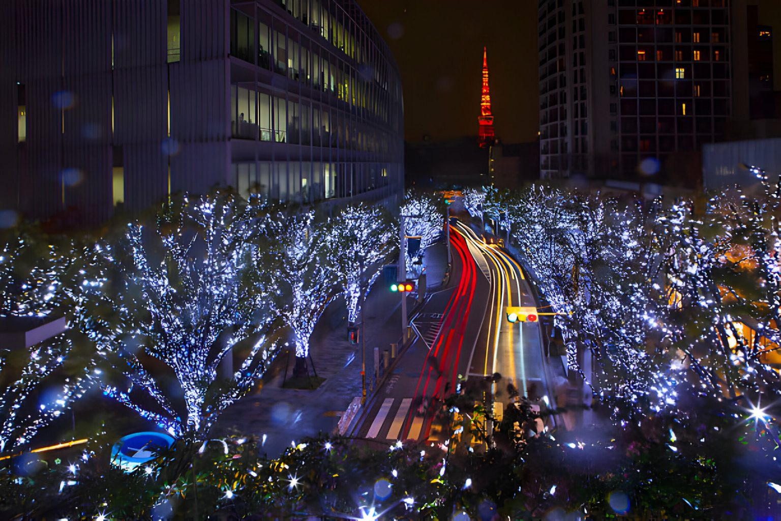The 12 Best Night Photo Spots In Tokyo You Have To Visit In 2025