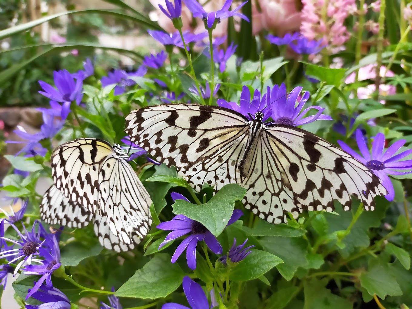 The 20 Best Things To Do In Osaka With Kids [Family Friendly]